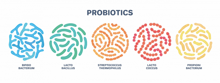 Introduction to Probiotics and Their Classification – Live ...