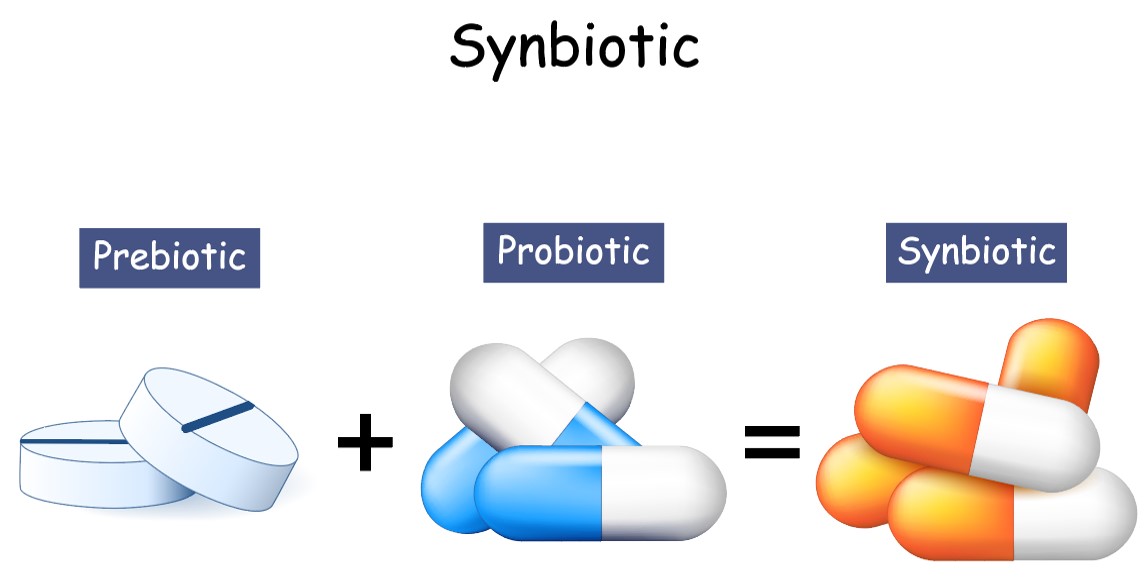 Comprehensive knowledge of prebiotics, probiotics, and synbiotics ...